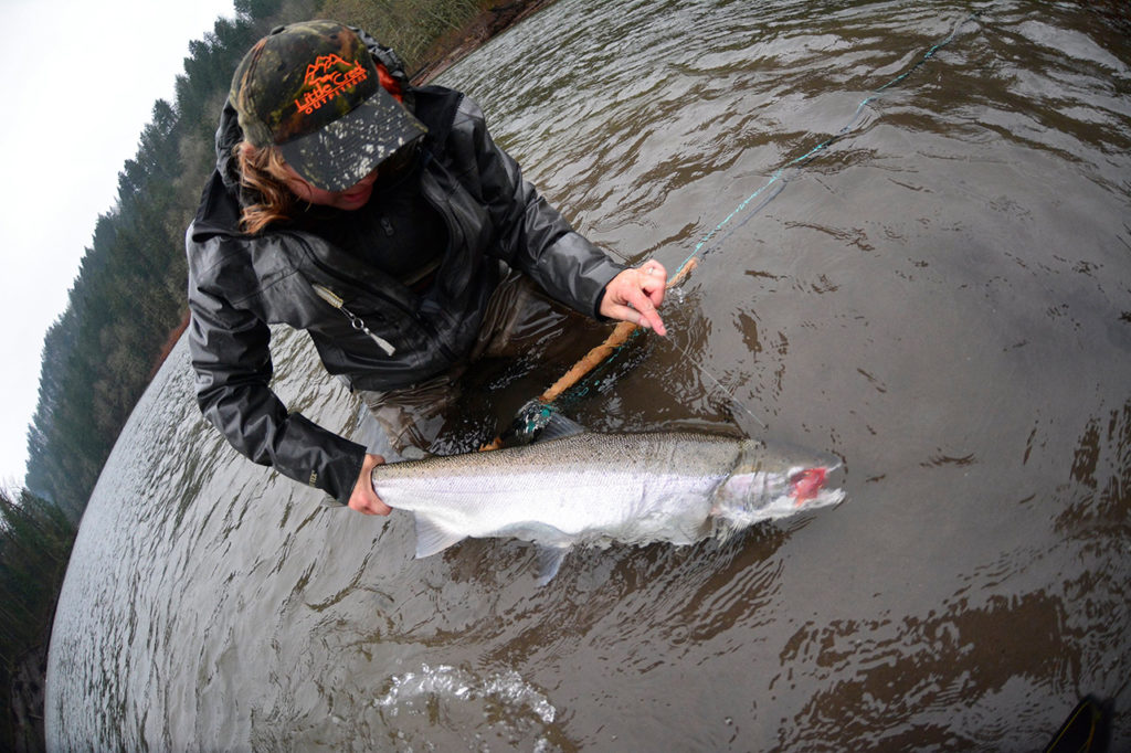 Flyfishing for Steelhead and Trout: | Little Creek Outfitters & Guide