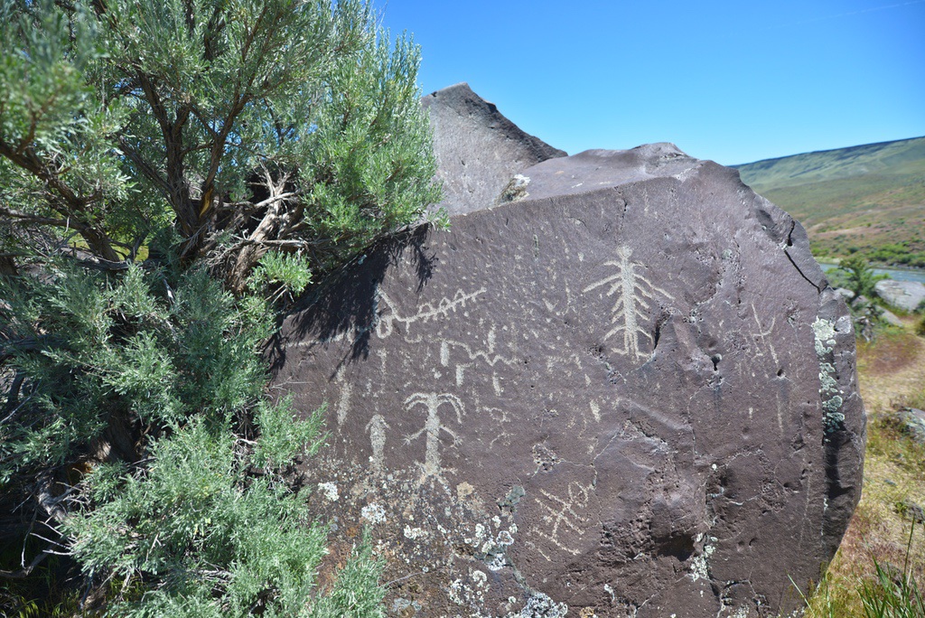 Owyhee River Raft Trips | Little Creek Outfitters & Guide